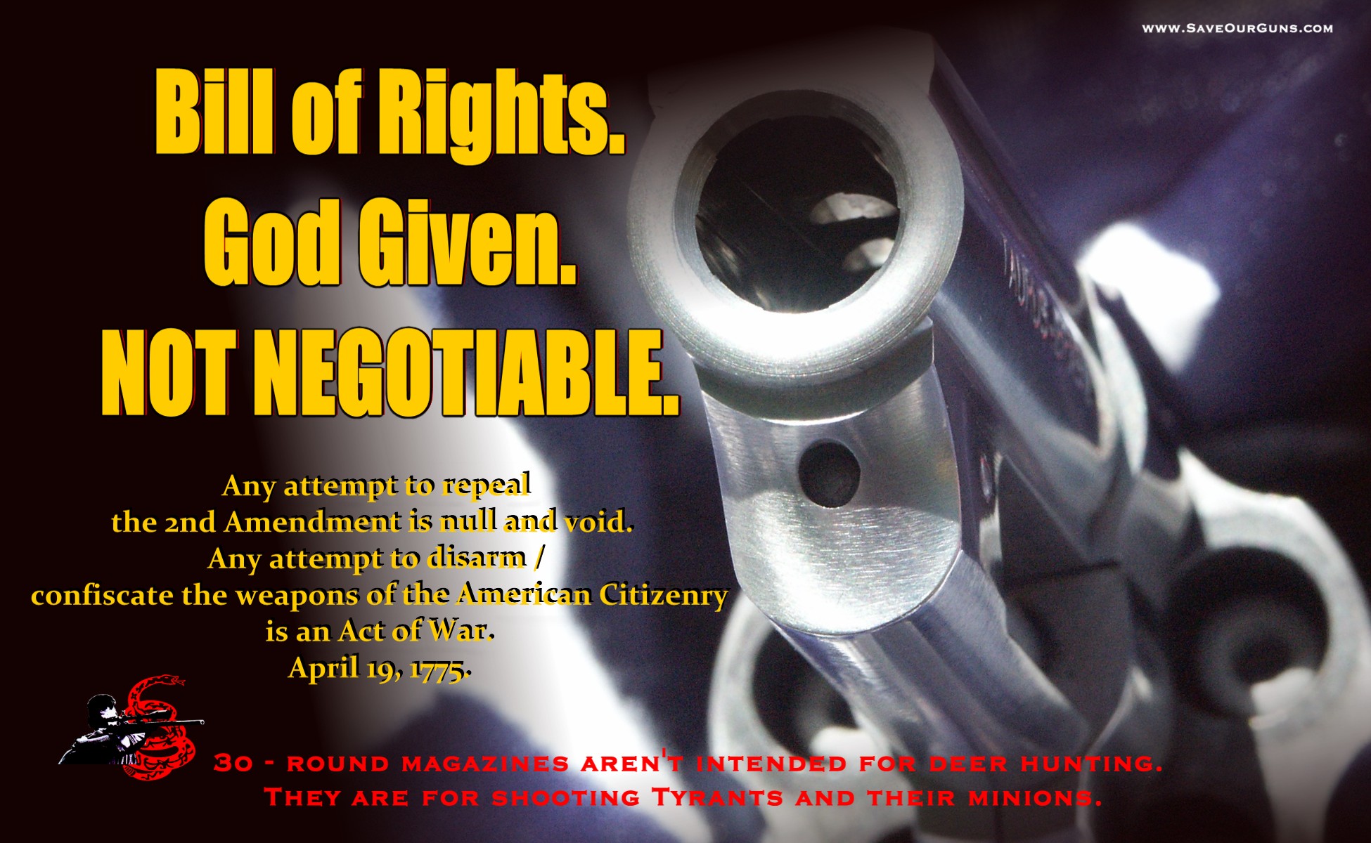 Gun Rights Posters