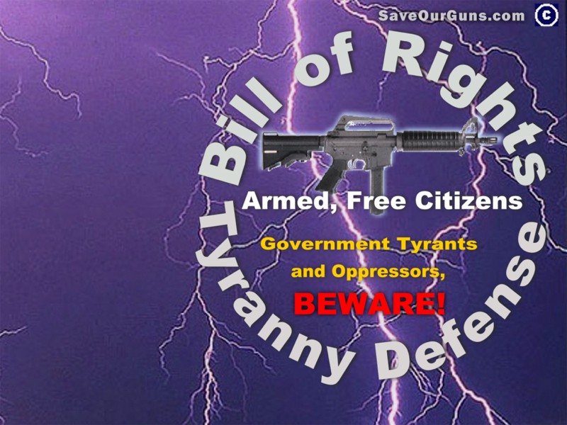 Gun Rights Posters - Individual Right to Keep and Bear Arms